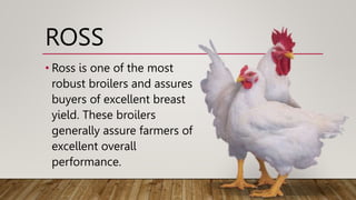 SELECT HEALTHY STOCK AND SUITABLE HOUSING.pptx