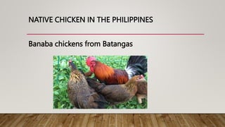 SELECT HEALTHY STOCK AND SUITABLE HOUSING.pptx