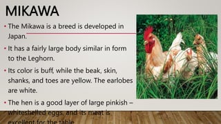 SELECT HEALTHY STOCK AND SUITABLE HOUSING.pptx