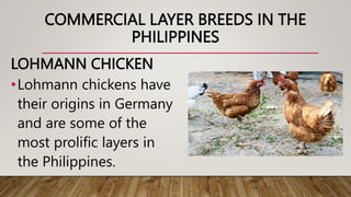 SELECT HEALTHY STOCK AND SUITABLE HOUSING.pptx