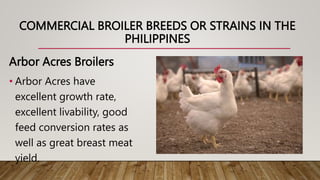 SELECT HEALTHY STOCK AND SUITABLE HOUSING.pptx