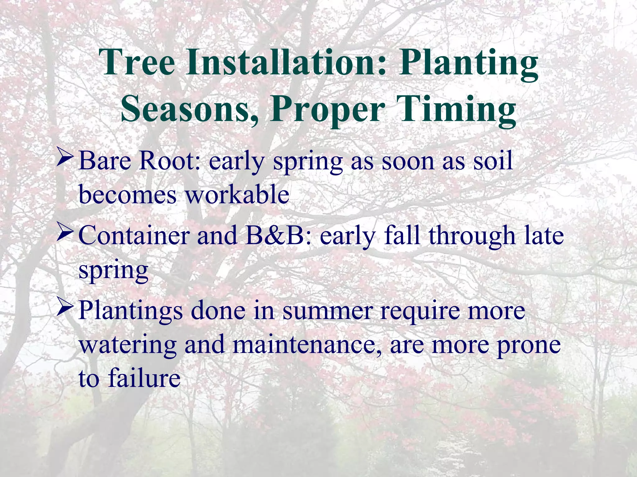 Selecting and planting trees in your landscape | PPT