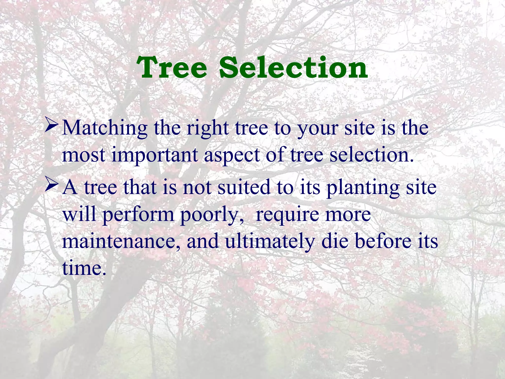Selecting and planting trees in your landscape | PPT