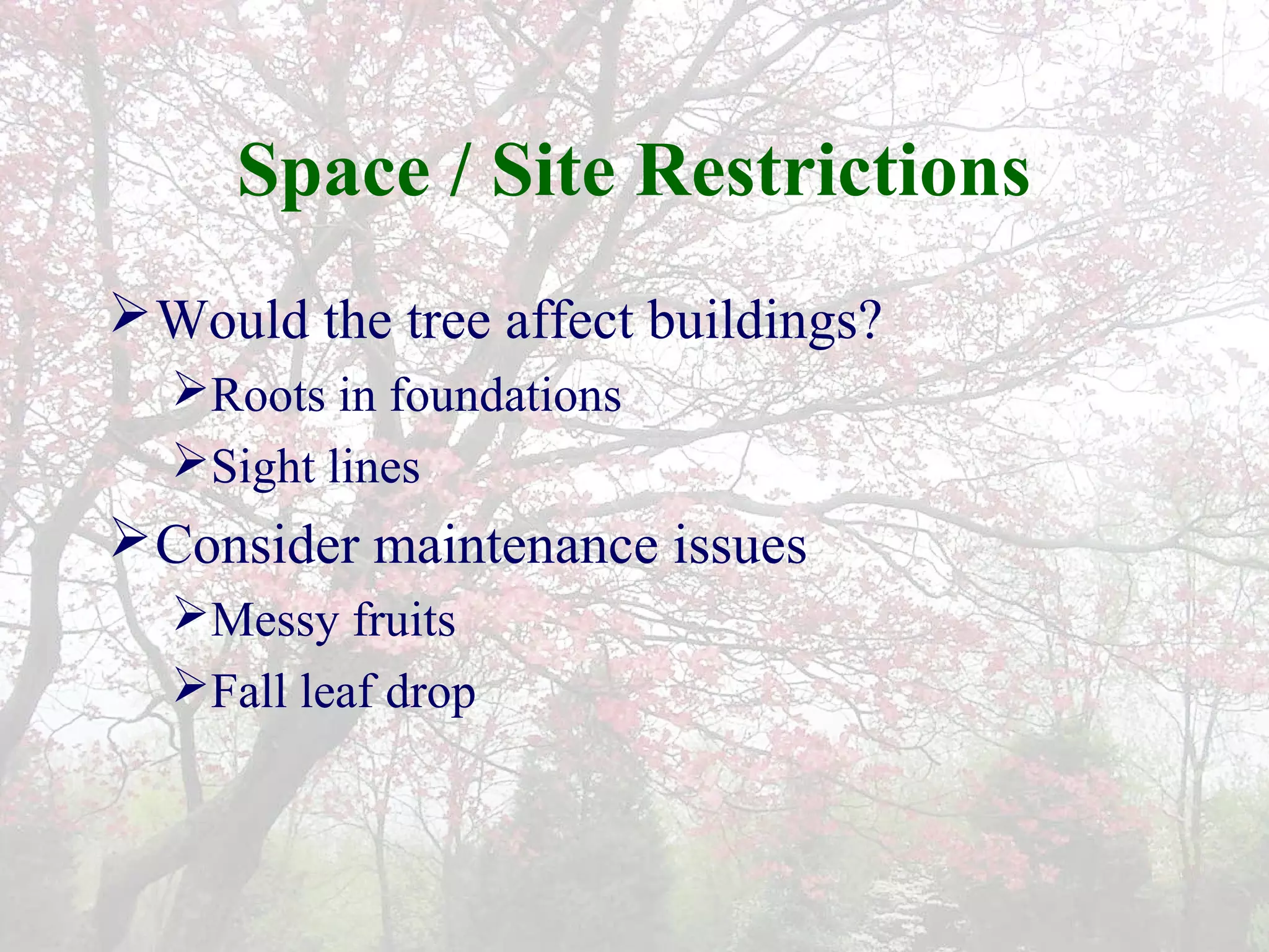 Selecting and planting trees in your landscape | PPT