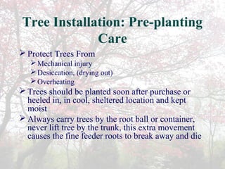 Selecting and planting trees in your landscape | PPT