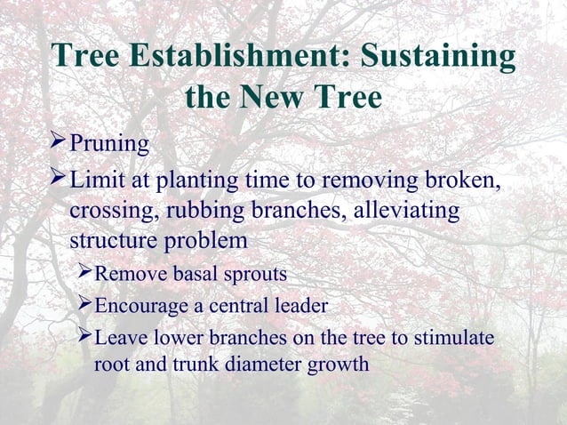 Selecting and planting trees in your landscape | PPT