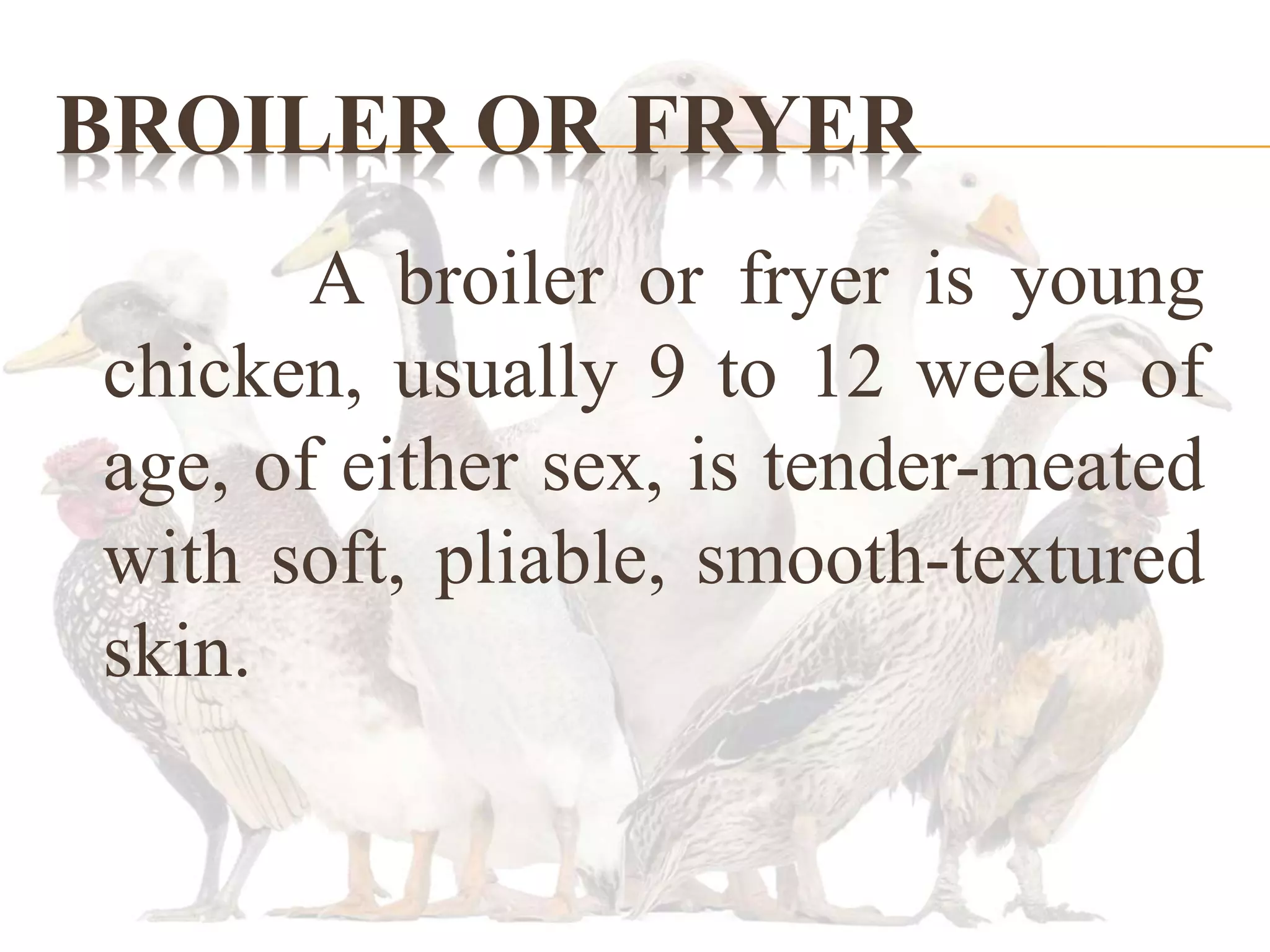 Selecting and preparing poultry | PPTX