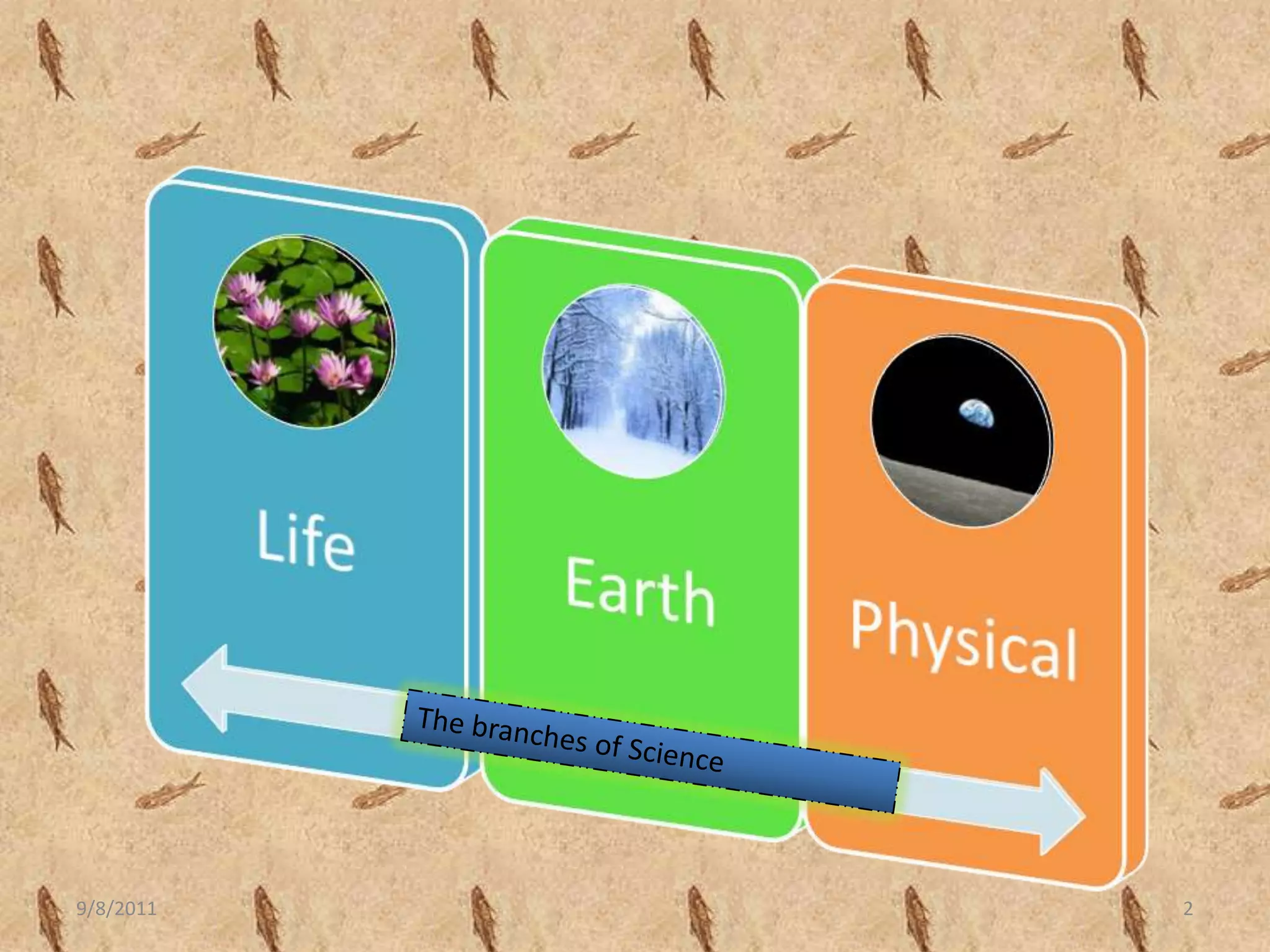 Selecting a science elective | PPTX