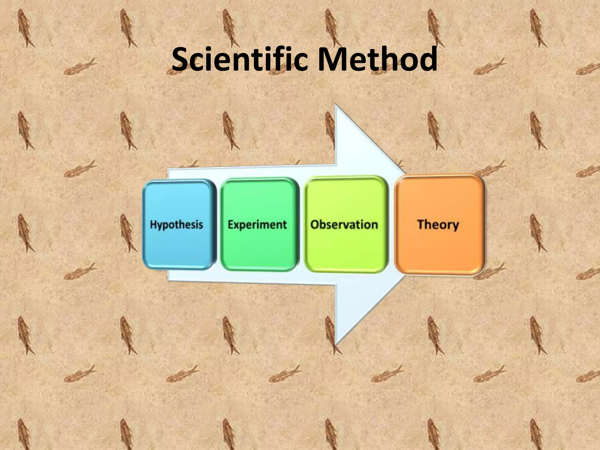 Selecting a science elective | PPTX