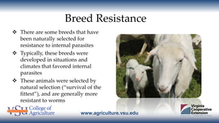 Selecting Worm Resistant Animals | PPTX