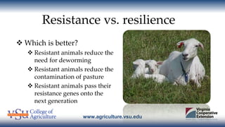 Selecting Worm Resistant Animals | PPTX