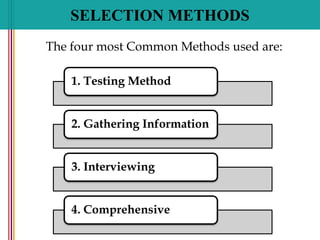 Selection..ppt.. | PPT | Free Download