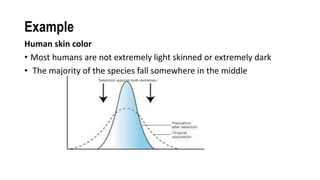 Selection and its types and evolution | PPTX