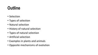 Selection and its types and evolution | PPTX