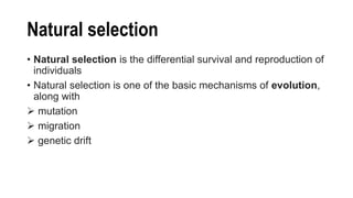 Selection and its types and evolution | PPTX