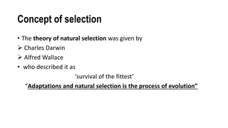Selection and its types and evolution | PPTX