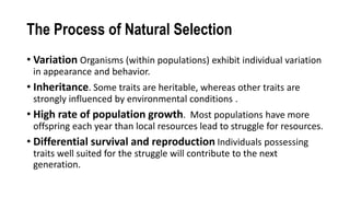 Selection and its types and evolution | PPTX