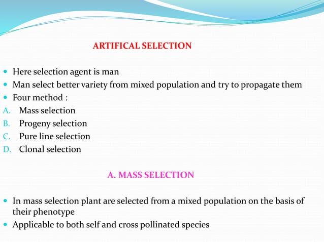 SELECTION | PPTX