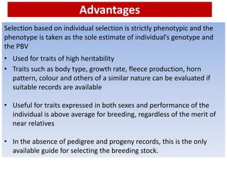 Selection | PPTX