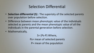 Ssssssssssssssssssssssssssselection.pptx