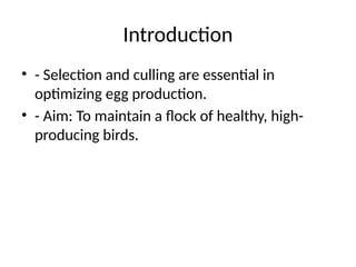 Selection_and_Culling_of_Layers.pptx poultry | PPTX
