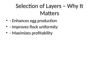 Selection_and_Culling_of_Layers.pptx poultry | PPTX
