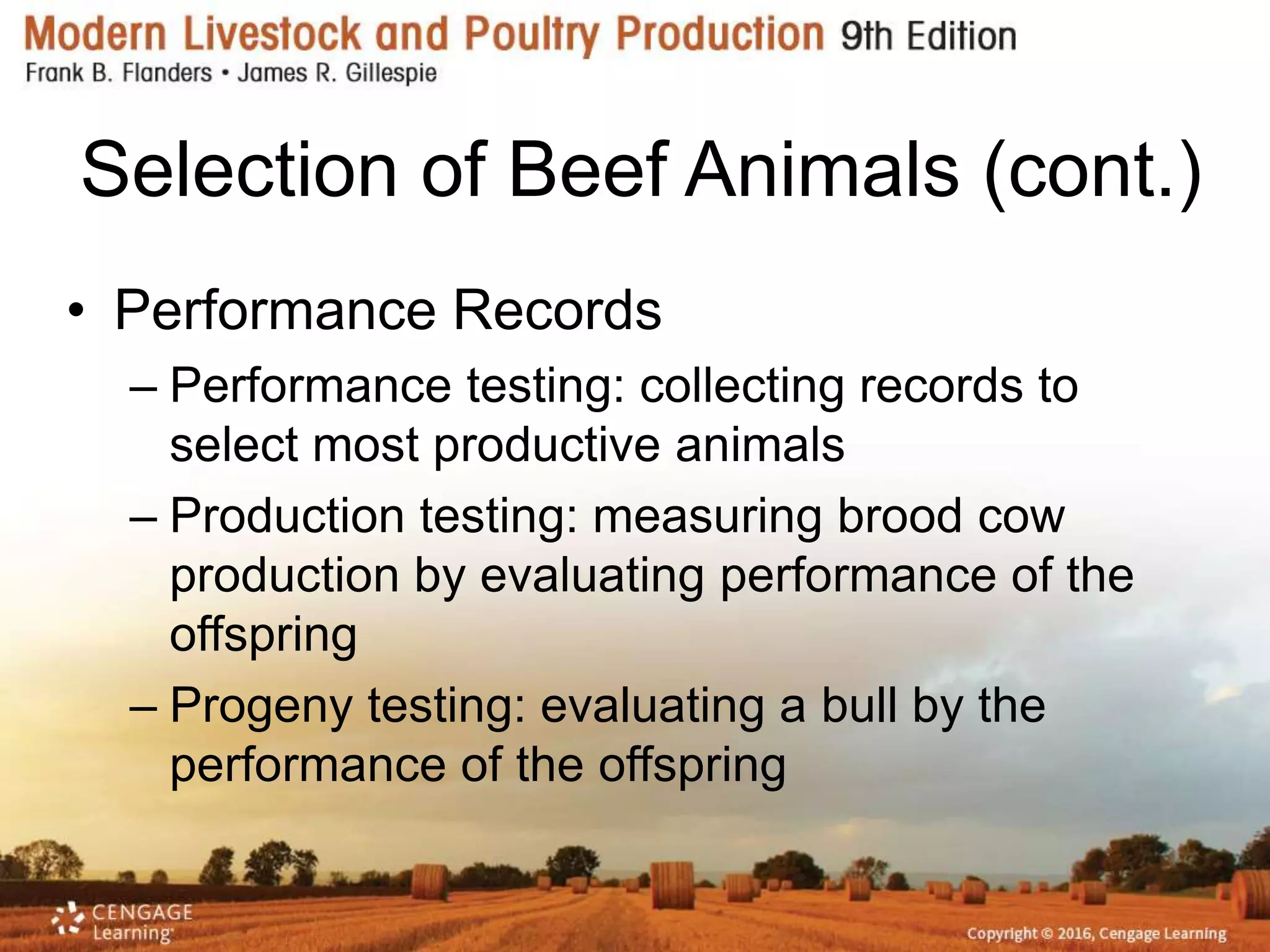 Selection and Judging of Beef Cattle.pptx
