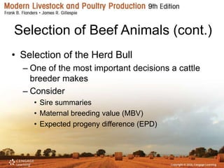 Selection and Judging of Beef Cattle.pptx