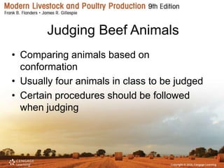 Selection and Judging of Beef Cattle.pptx