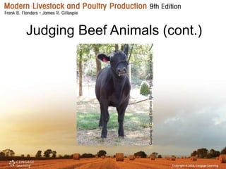 Selection and Judging of Beef Cattle.pptx