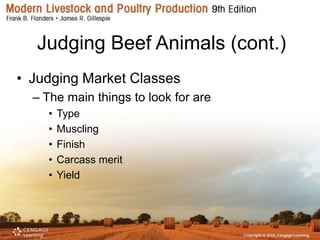 Selection and Judging of Beef Cattle.pptx