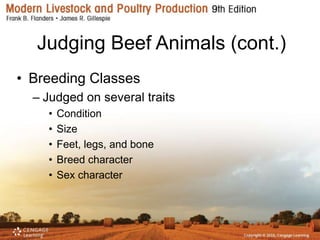 Selection and Judging of Beef Cattle.pptx