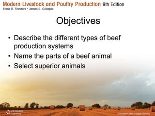 Selection and Judging of Beef Cattle.pptx