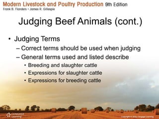 Selection and Judging of Beef Cattle.pptx