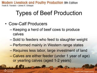 Selection and Judging of Beef Cattle.pptx