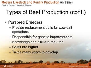 Selection and Judging of Beef Cattle.pptx