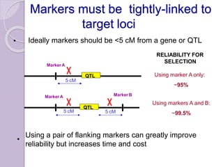 Selection based on markers | PPTX