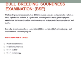 Selection criteria for the semen donor bull.pptx