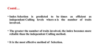 Clase indice de seleccion en genetica animal | PPTX