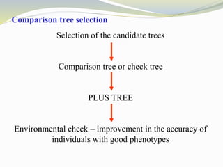 Selection methods in forestry | PPT