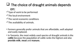Selection of animals for training to perform draught.pptx