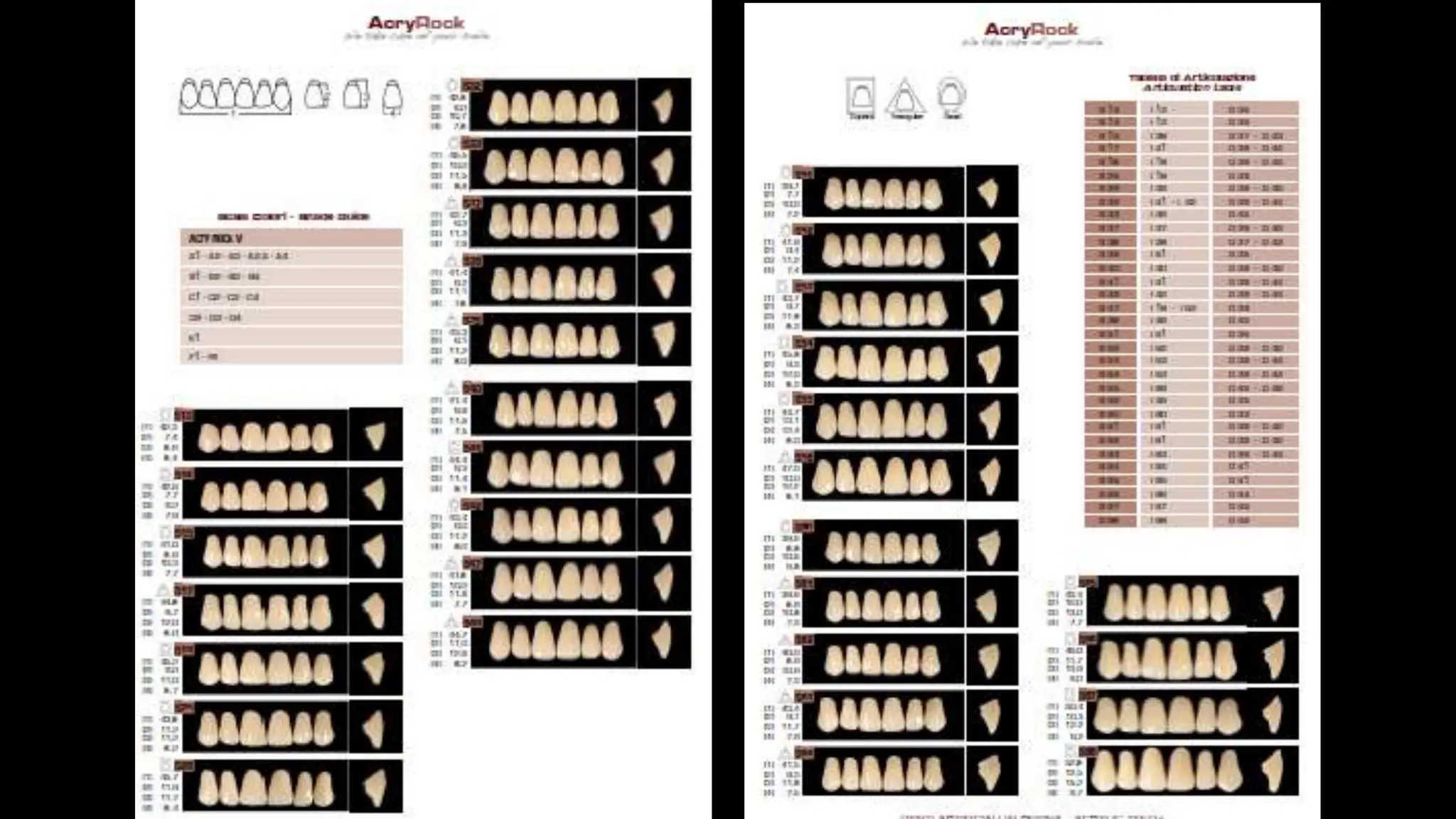 SELECTION OF ANTERIOR TEETh in complete denture | PPTX
