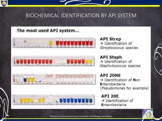 Selection of Antimicrobial Drug in Cambodia's Microbiology Laboratories ...