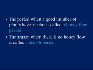 Selection of bee flora.pptx