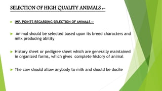 Selectionof dairy animals | PPTX