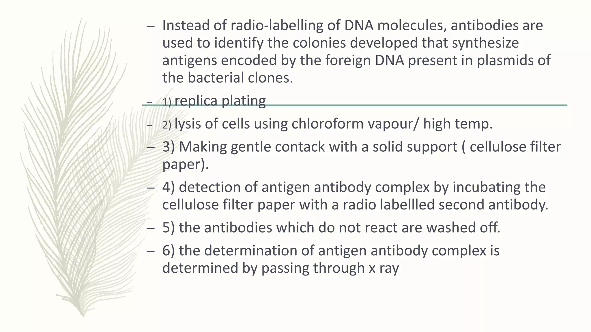 Selection And Screening Of Recombinant Clones Pptx