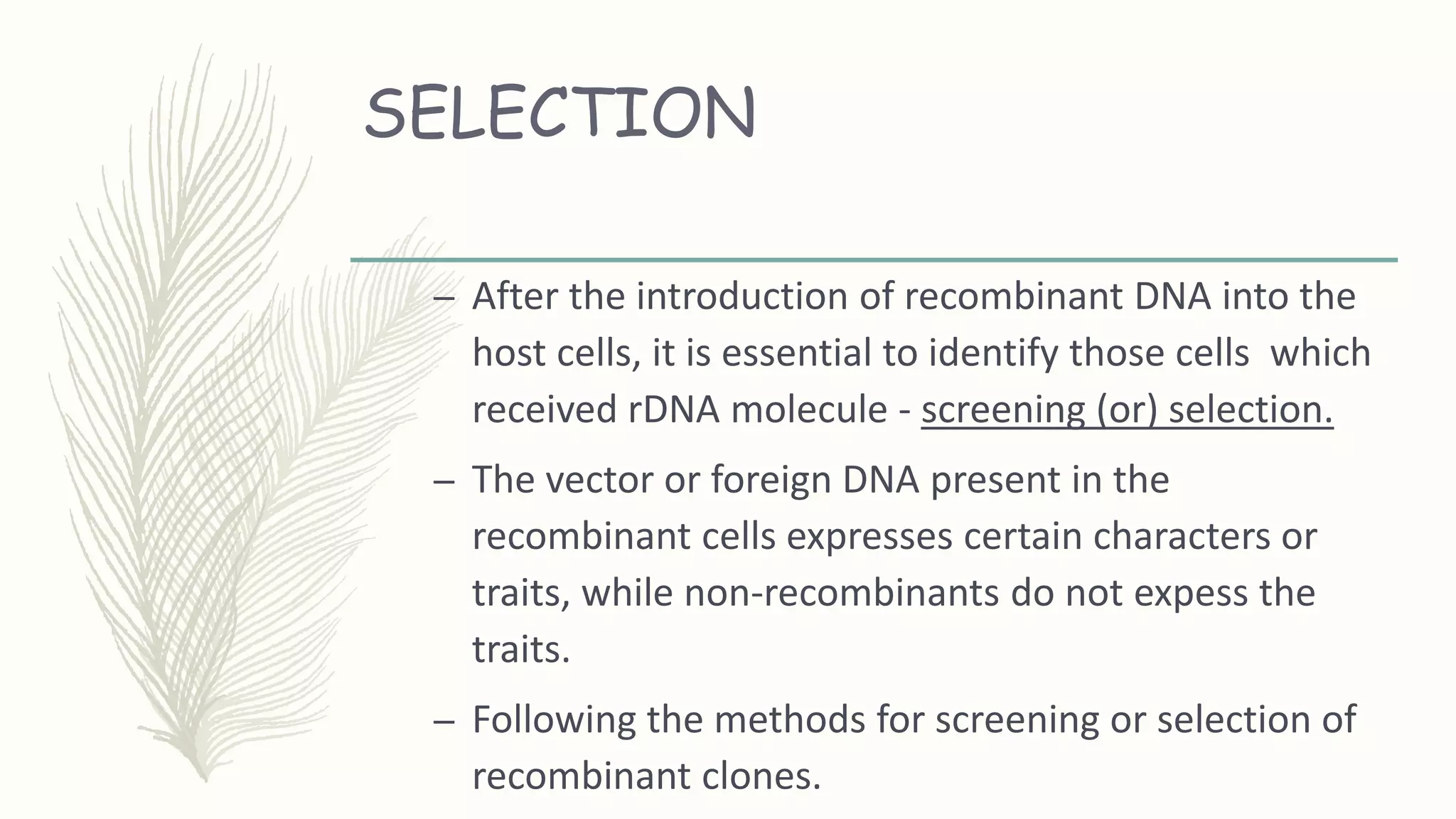 Selection and screening of recombinant clones | PPTX
