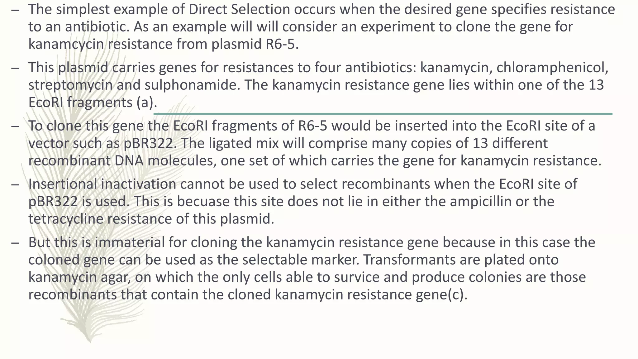 Selection and screening of recombinant clones | PPTX