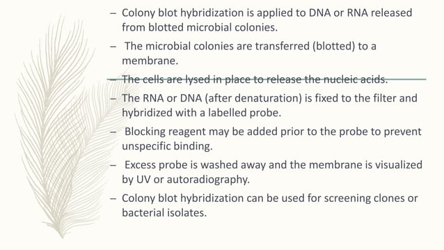 Selection and screening of recombinant clones | PPTX