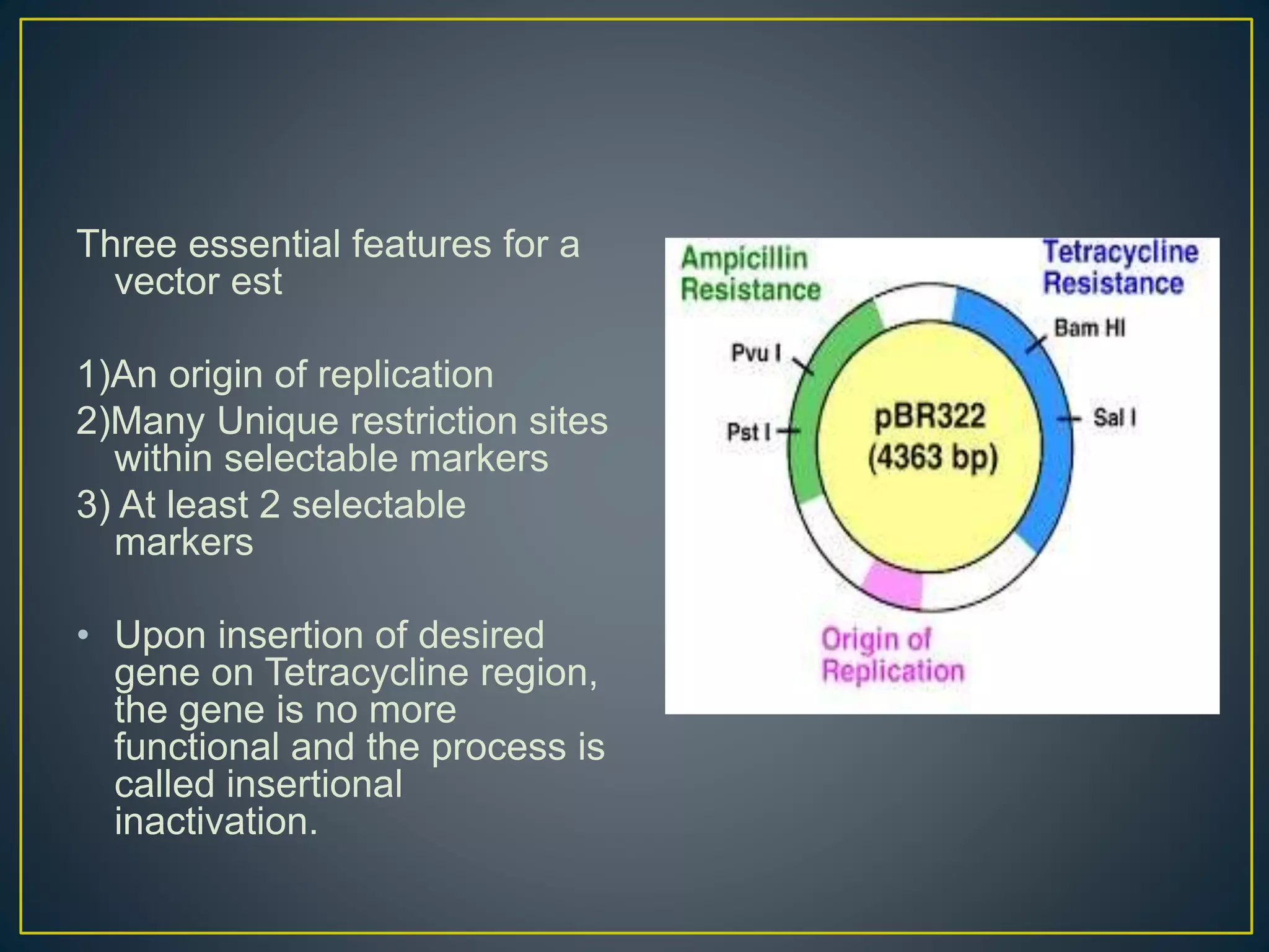 Selection And Screening Of Recombinant Cells And Expression Of Recombinant